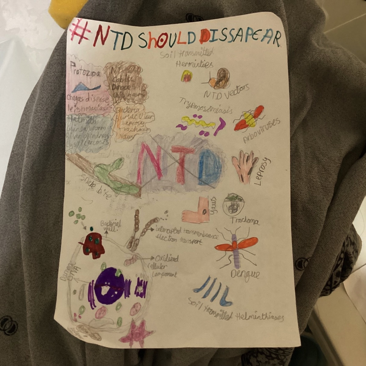 World NTD Day poster competition - Unlimit Health