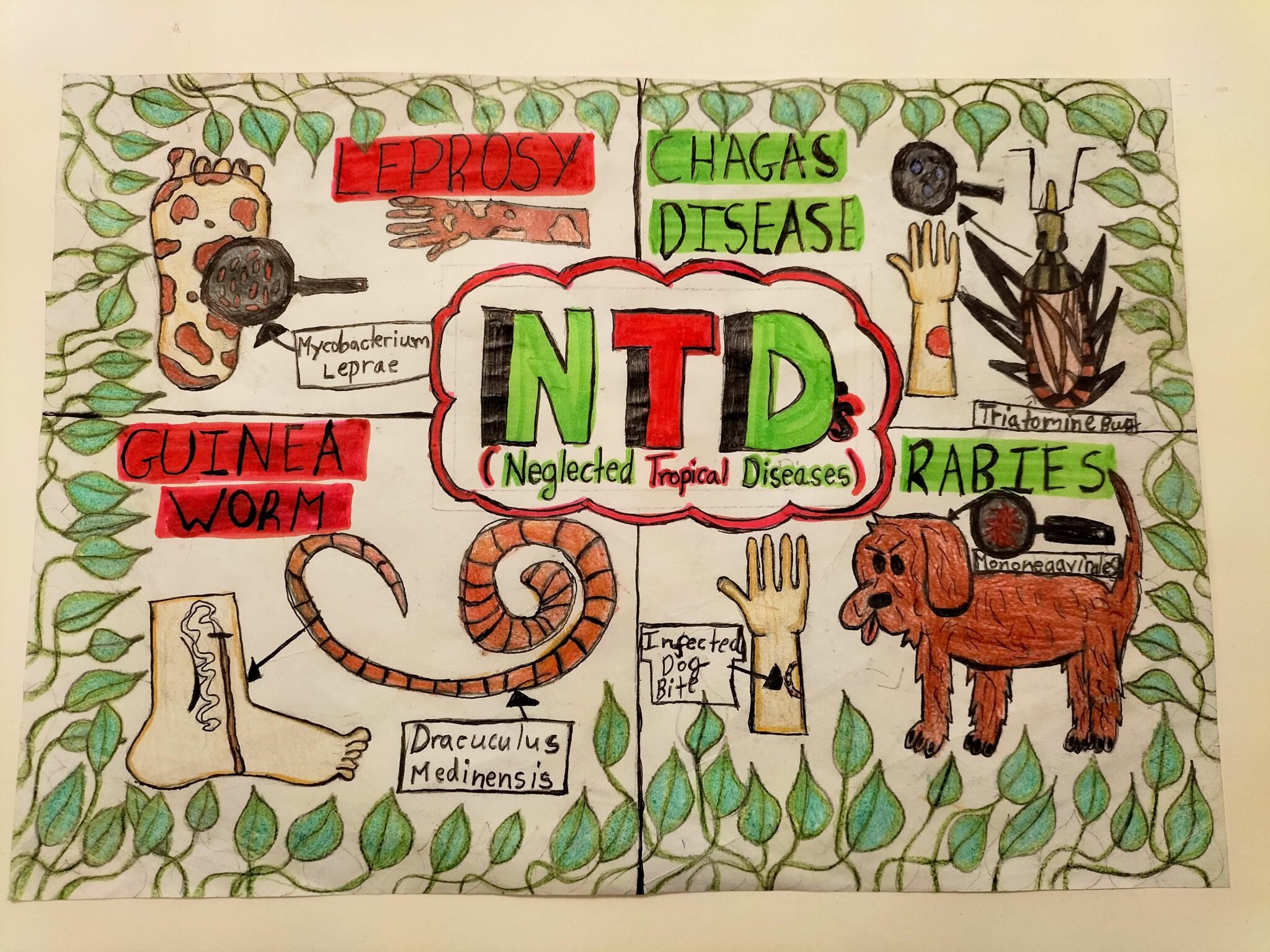 World NTD Day poster competition - Unlimit Health